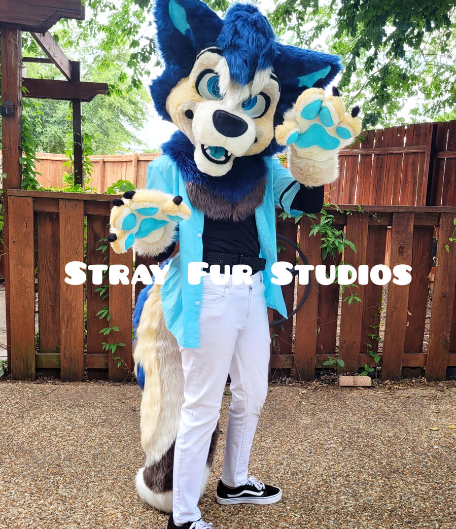 Stray Fur Studios